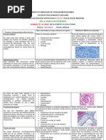 Tinciones Tipo Fundamento Finalidad Usos Gram: Tabla Comparativa: Tipos ...