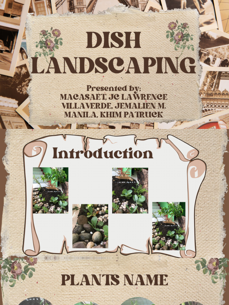 Dish Landscaping | PDF