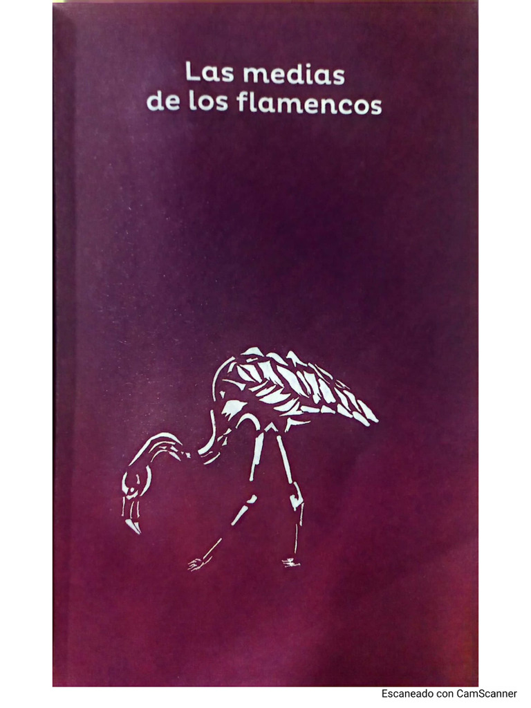 Las Medias de Los Flamencos | PDF