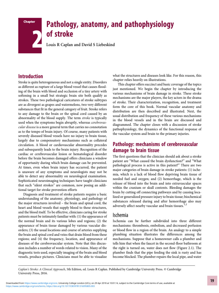 Pathology and Mechanisms of Stroke | PDF | Stroke | Thrombus