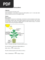 Elodea Photosynthesis Experiment Results | PDF | Cellular Respiration ...
