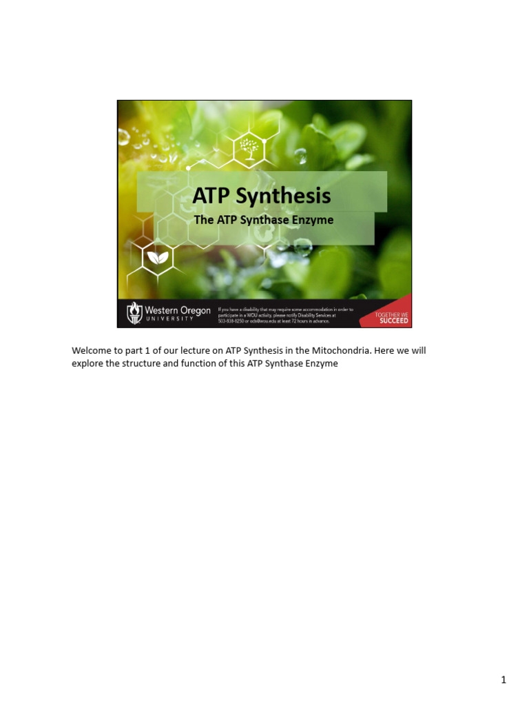 ATP Synthase: Structure and Function | PDF | Adenosine Triphosphate ...
