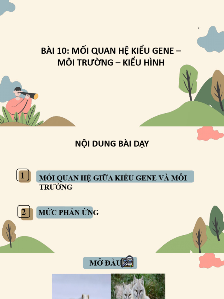 Bài 10_Mối quan hệ - Kiểu gen - Môi trường - Kiểu hình | PDF