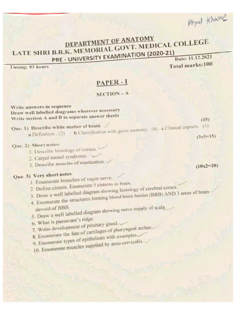 Jagdalpur Anat | PDF