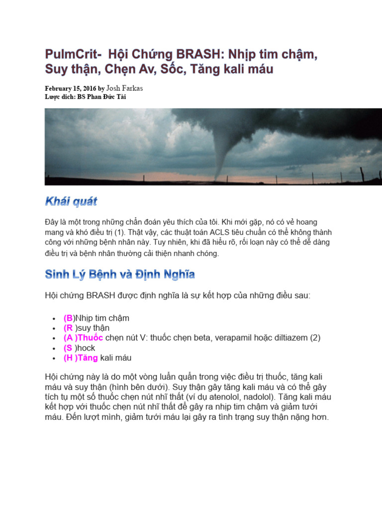 H I CH NG Brash | PDF