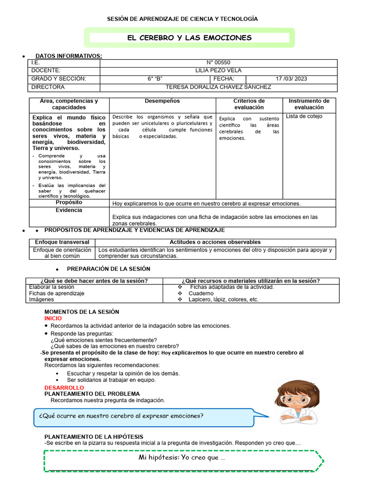 Cyt El Cerebro Y Las Emociones Pdf Las Emociones Cerebro