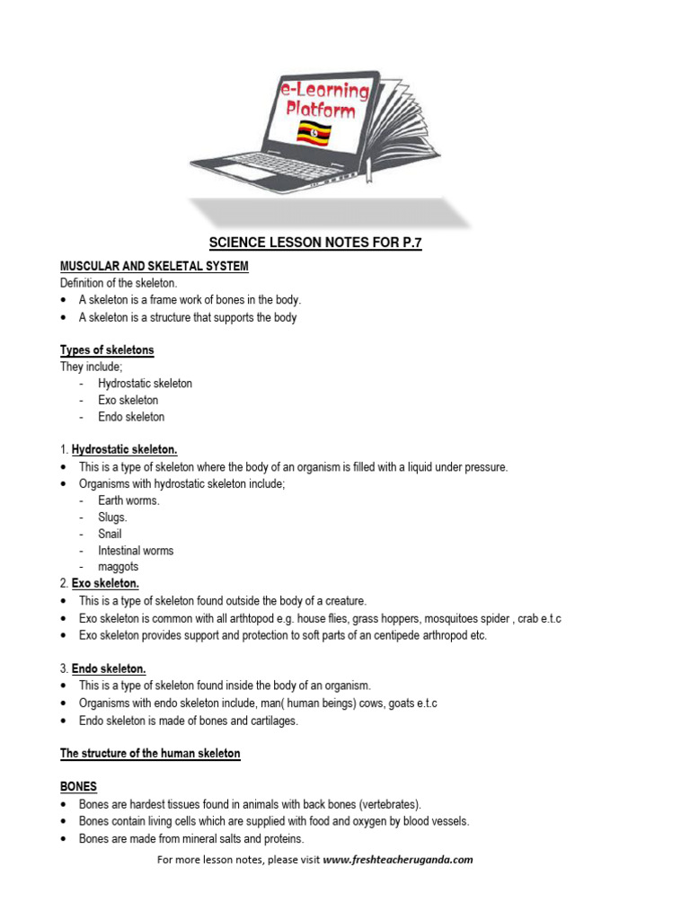 p7 Science Lesson Notes-1 | PDF | Lever | Skeleton