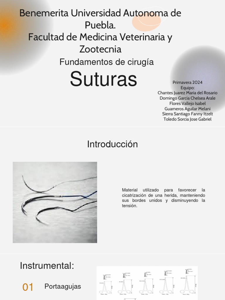 Suturas Cirugia Presentacion 1 | PDF | Sutura Quirúrgica