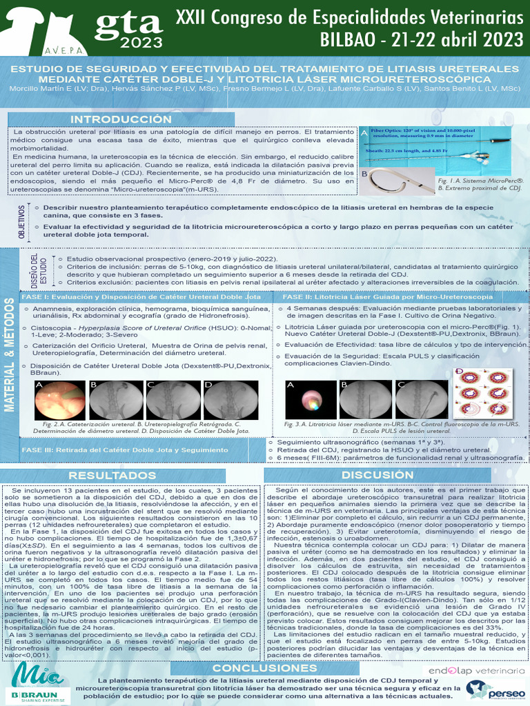 Poster Stents Ureterales | PDF | Especialidades Medicas | Medicina CLINICA