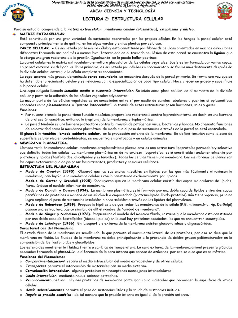 LECTURA 2 - II UNIDAD - CyT - 4º GRADO - 2024 | Descargar gratis PDF | Retículo endoplásmico ...