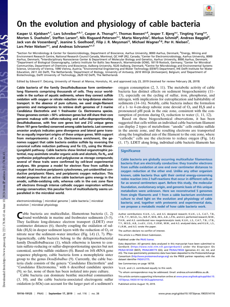 Kjeldsen Et Al 2019 On The Evolution and Physiology of Cable Bacteria | Download Free PDF ...