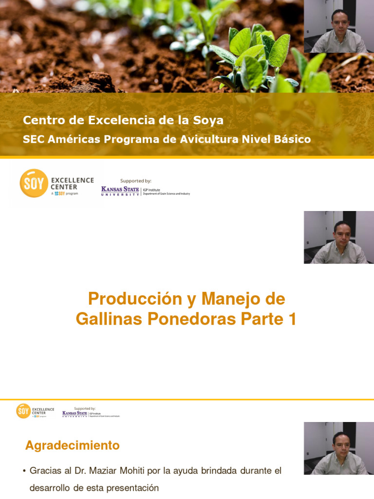 4 - Producción y Manejo de Gallinas Ponedoras Updates | PDF | Calcio ... 4 - Producción y Manejo de Gallinas Ponedoras Updates | PDF | Calcio ...