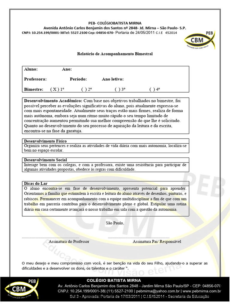 Modelo de Relatórios Individual | PDF