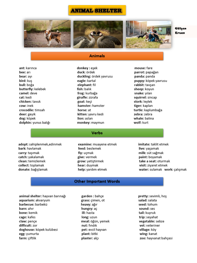 5.9 - Animal Shelter | PDF | Zoology | Animals And Humans