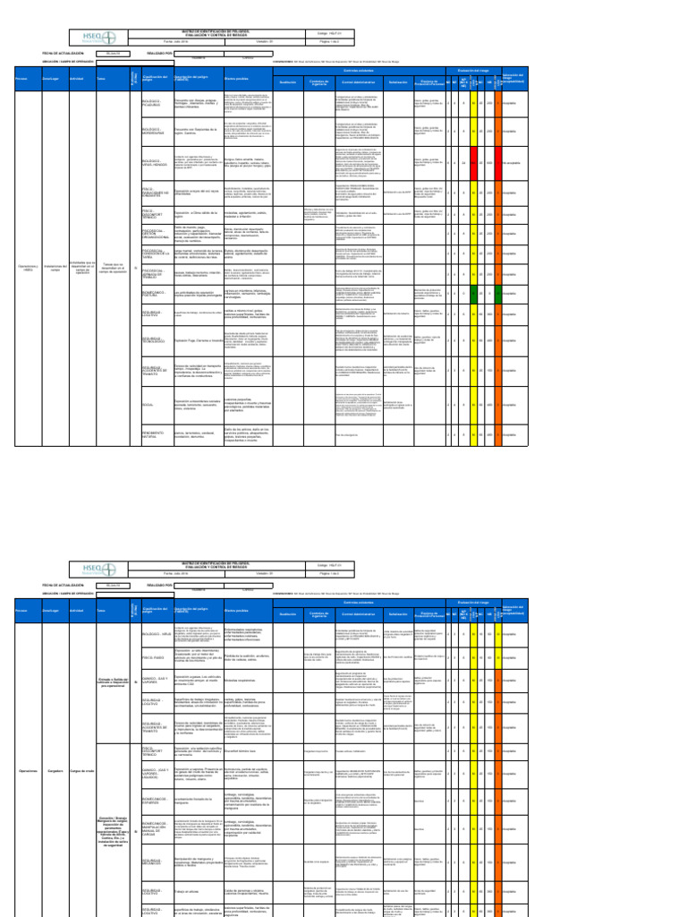 HS-For-001 - Formato Matriz de Peligros | PDF | Virus | Infección
