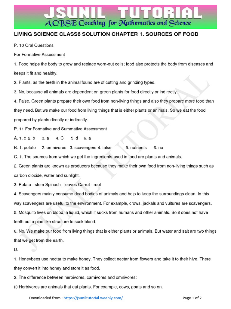 Living Science Class6 Solution Chapter1 Pdf Foods Plants