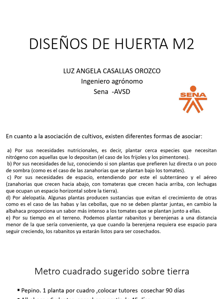 Dise o De Huertas En Metro Cuadrado PDF Plantas Comestibles Vegetales