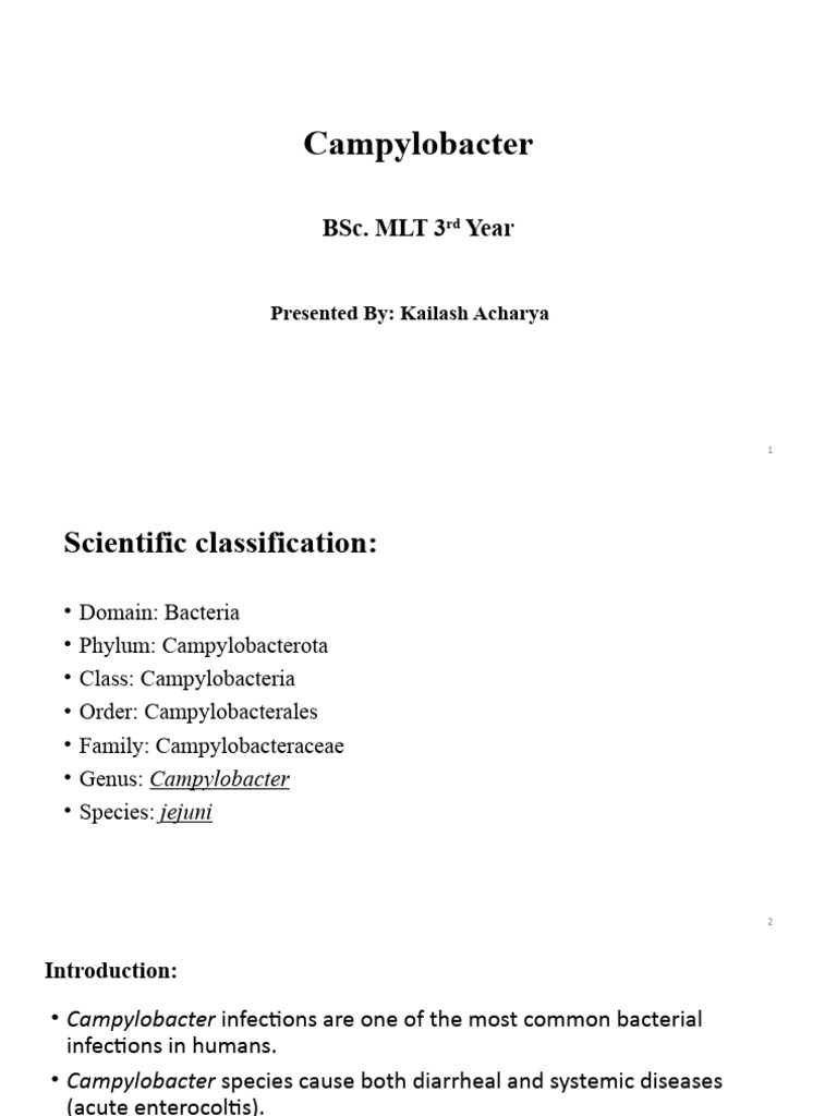 Campylobacter | PDF | Bacteria | Medical Specialties