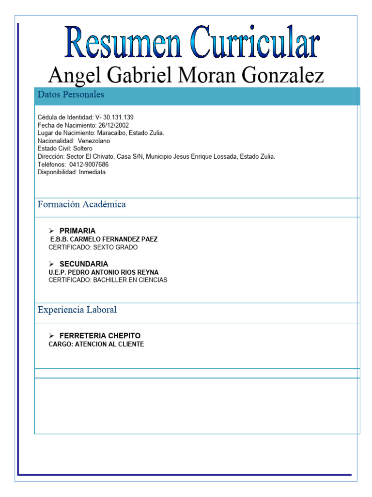 Resumen Curricular Angel | PDF