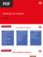 Articulación Coxofemoral Cuadro Integrador | PDF | Rodilla | Cadera