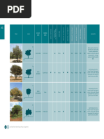 Landscape Specs. | PDF | Specification (Technical Standard) | Trees
