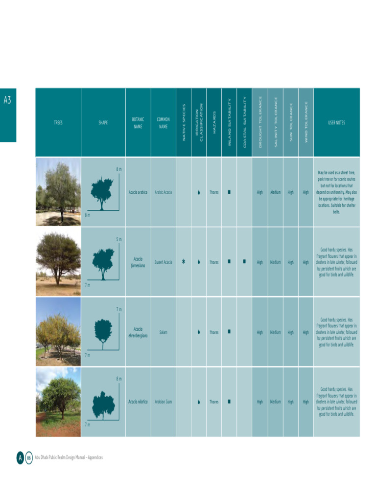 Native Trees of the UAE | PDF | Trees | Plants
