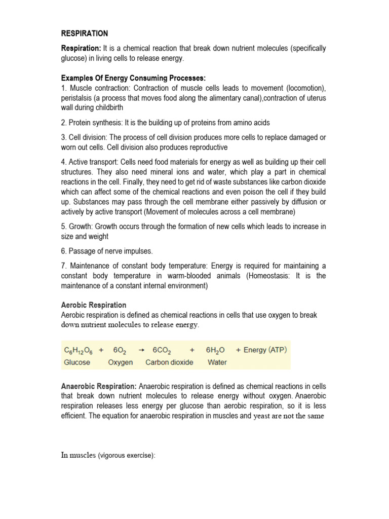 Respiration and Excretion | PDF | Kidney | Cellular Respiration