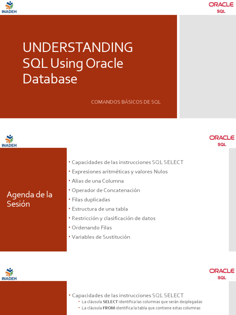 Undertanding SQL Oracle - 2 Comandos Básicos de SQL | PDF | SQL | Software de gestión de datos