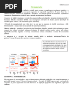 EstgioPuberal - Tanner Meninas | PDF | Sistema reprodutivo animal ...