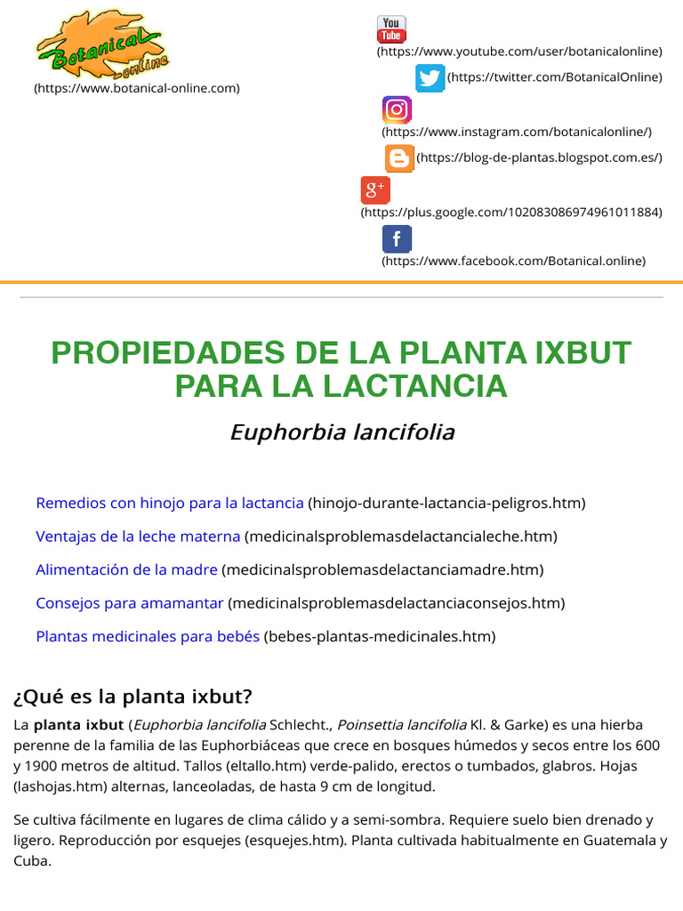 Ixbut BotanicalOnLine2018 | PDF | Leche | Lactancia