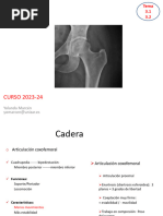 Articulación Coxofemoral Cuadro Integrador | PDF | Rodilla | Cadera