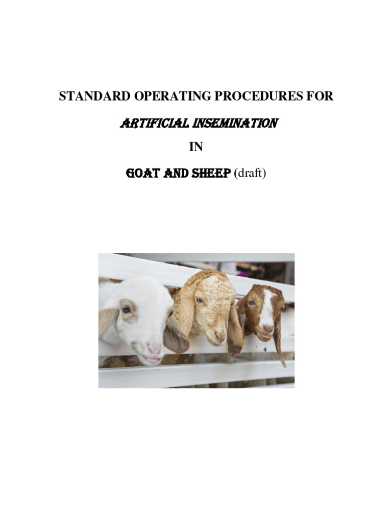 Final Draft Sop For AI | PDF | Sheep