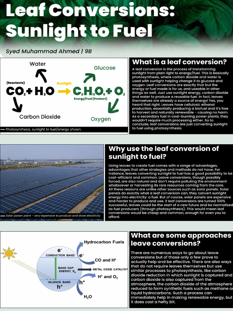 SCIENCE - Magazine Article - Leaf Conversions- Sunlight to Fuel - Syed ...