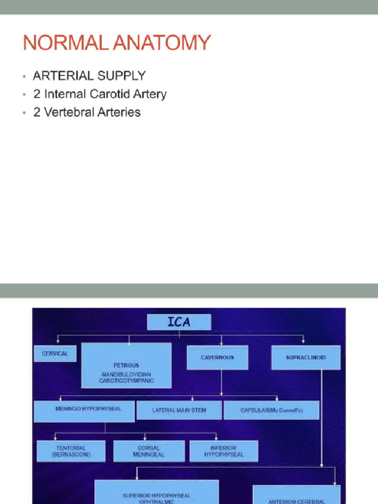 cerebral angio Anatomy | PDF