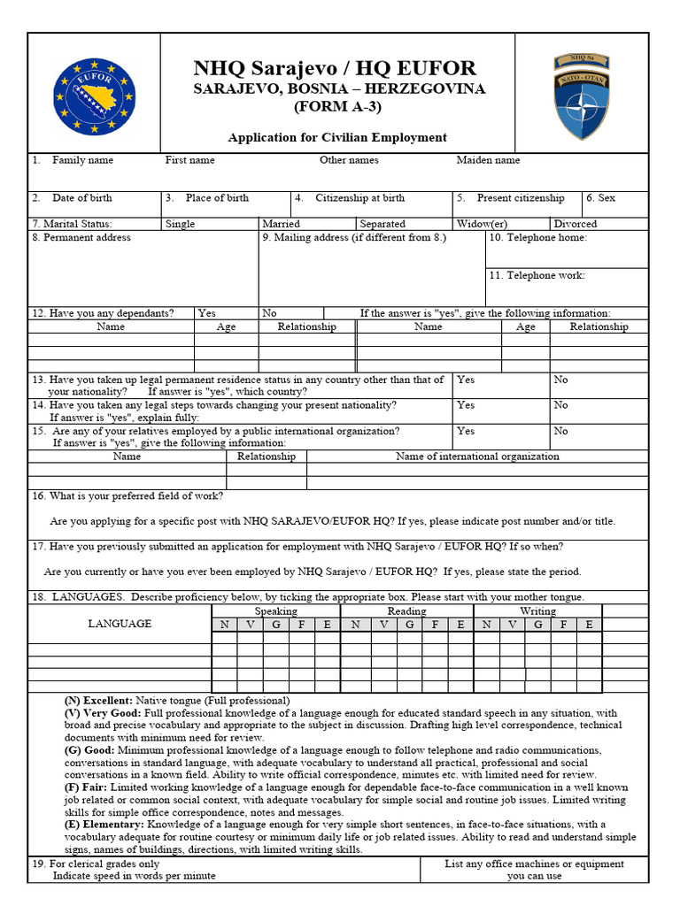 A3 Application Form English | PDF | Vocabulary | Communication