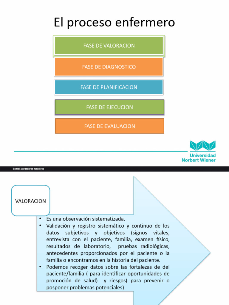 Proceso de Atencion de Enfermeria. | PDF | Diagnostico medico | Medicina