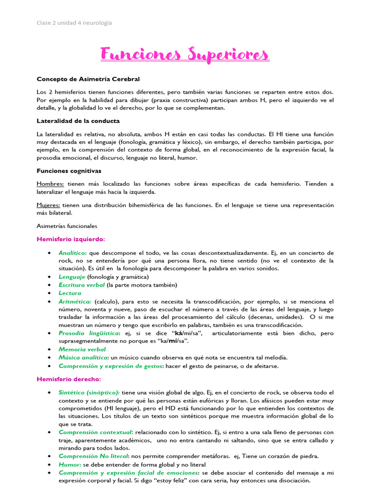 Clase Funciones Superiores | PDF | Lóbulo temporal | Hemisferio cerebral