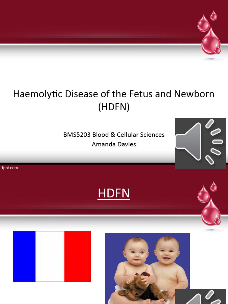 Haemolytic Disease of the Fetus and Newborn (1) | Download Free PDF ...