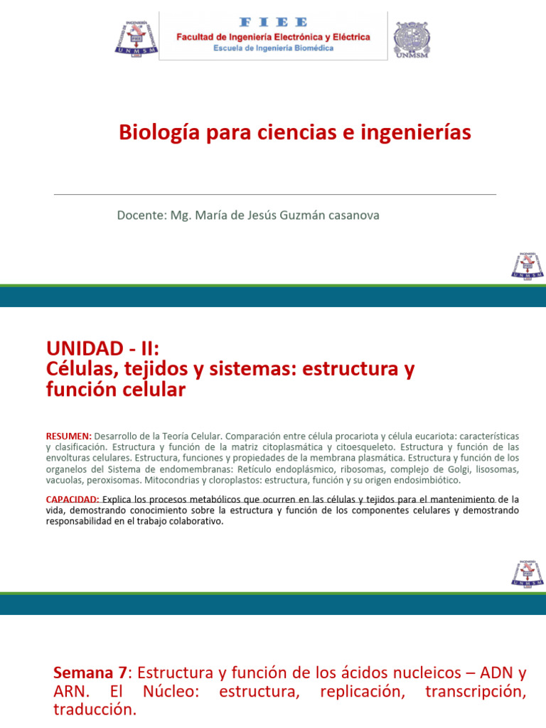 Estructura y Función Celular en Biología | PDF | Rna | Nucleo celular