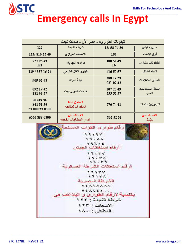 Emegency Calls | PDF
