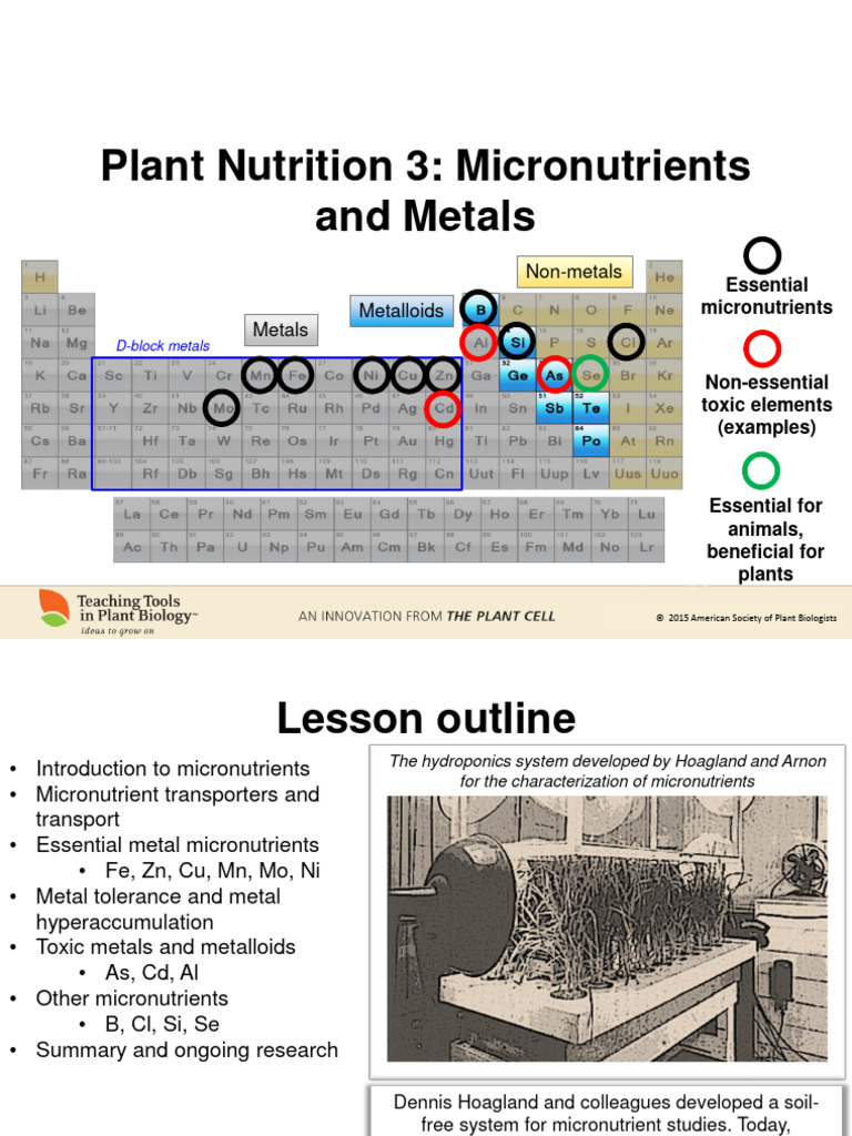 Essential Micronutrients in Plants | PDF | Nutrients | Plant Nutrition