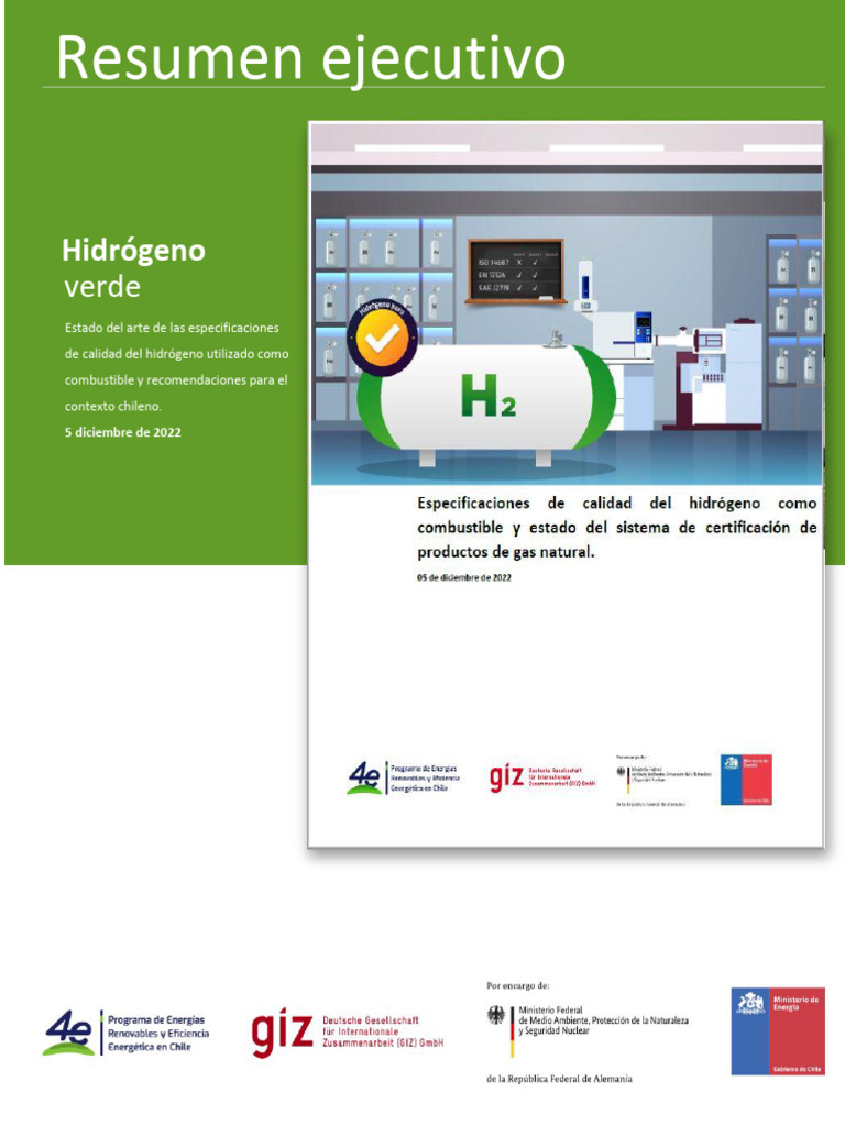 Res-Ejec-Calidad-H2-y-sistema-certificacion-productos-GN_publico | PDF ...