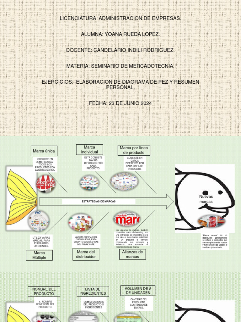 Diagrama de Pez | PDF | Marca | Producto (Negocio)