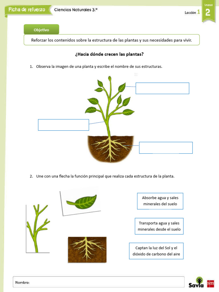 Refuerzo U2 l1-2 | PDF