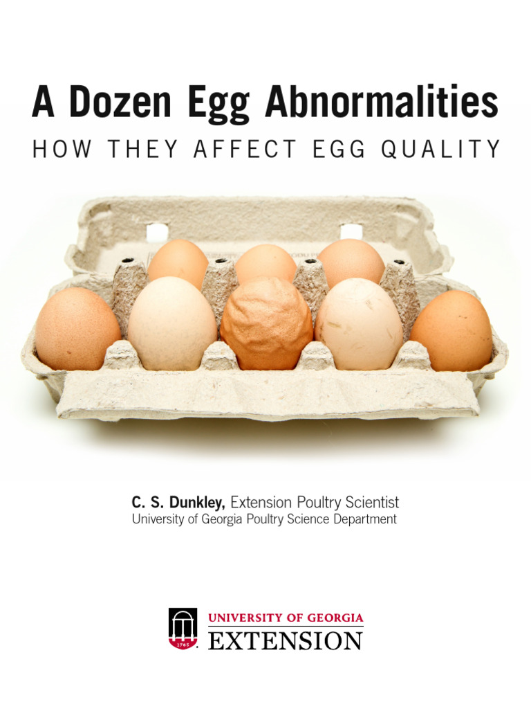 Egg Abnormalities HOW THEY AFFECT EGG QUALITY | PDF | Egg | Chicken