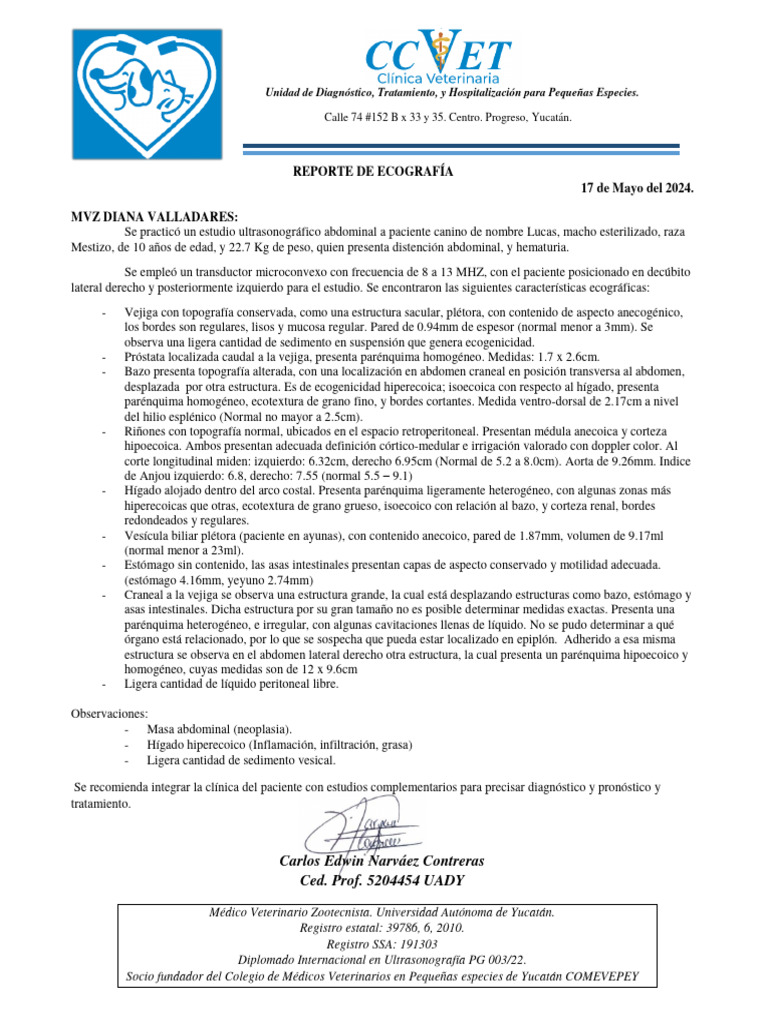 Copia de Reporte de Ultrasonido Abdominal. PX Lucas | PDF | Abdomen ...