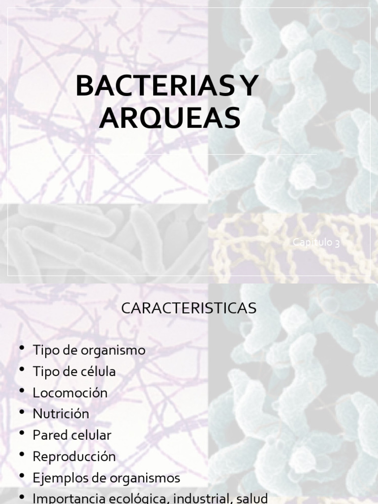 Bacterias y Arqueas | PDF | Las bacterias | Biología Celular)
