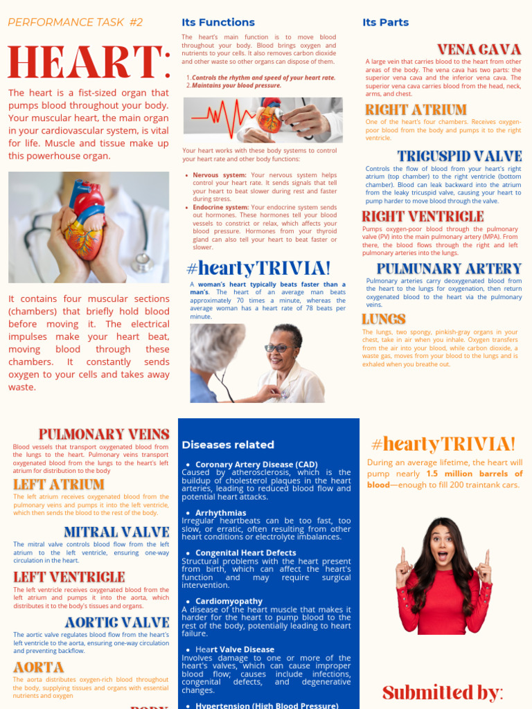 Bio Heart - 20240514 - 061447 - 0000 | PDF | Heart | Blood