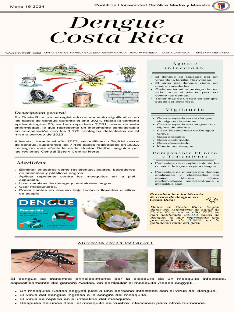 Infografía_Dengue_en_Costa_Rica[1] | Descargar gratis PDF ...