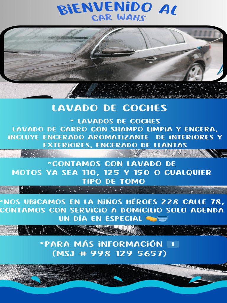 Auto Lavado | PDF